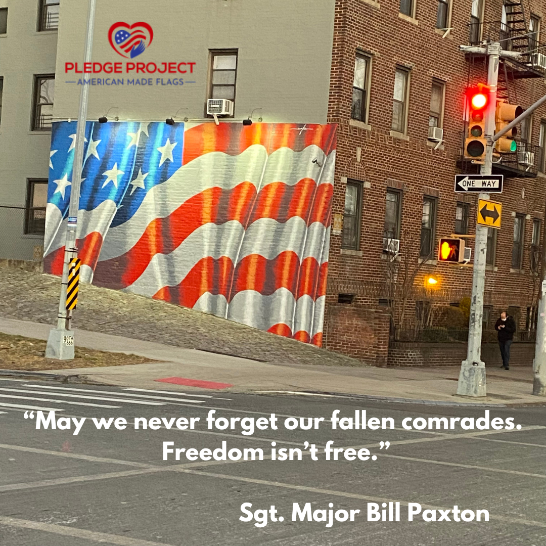 Koralex II - Made in USA, Durable All-Weather American Flags | Pledge ...